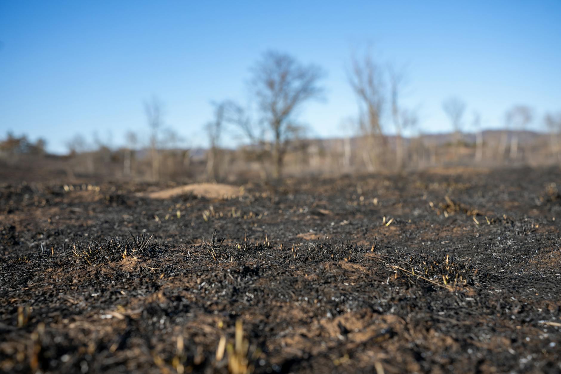 chaos and waste - Breadcrumbs