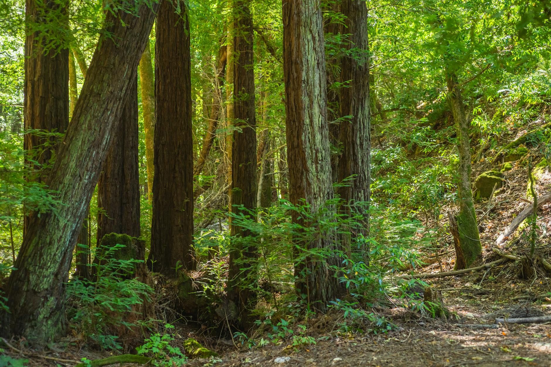 there is nowhere else to go - Breadcrumbs